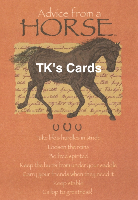 Your True Nature "Advice Horse" Blank Card #60287 - TK's Cards